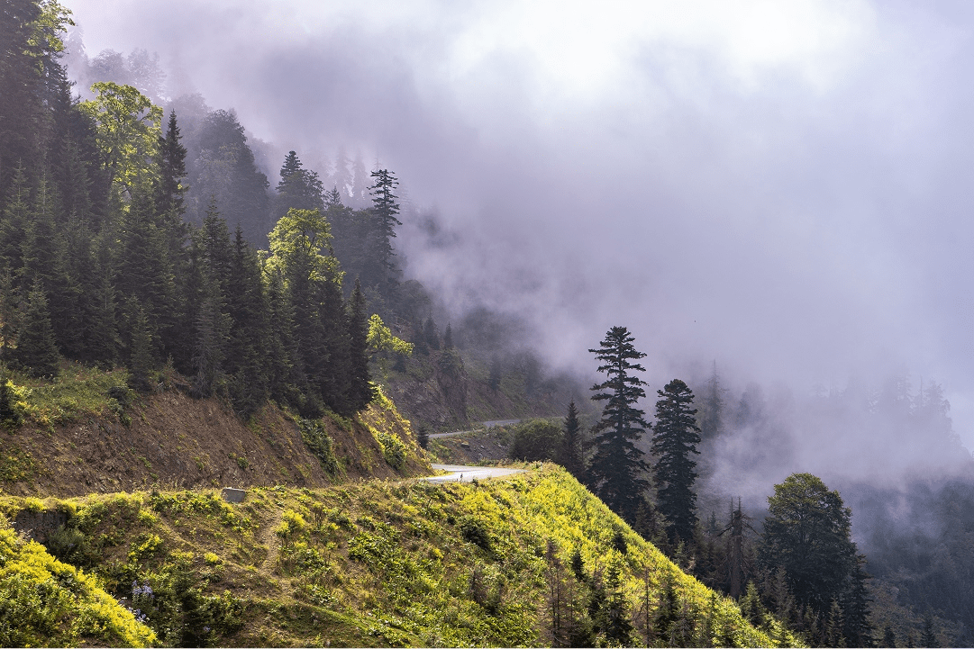 Chasing Fog – A Morning in the Highlands - Geru Education